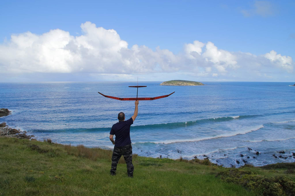 F3 / F3L RC thermal soaring glider - Ballare-T RES Glider 2m wing span ...